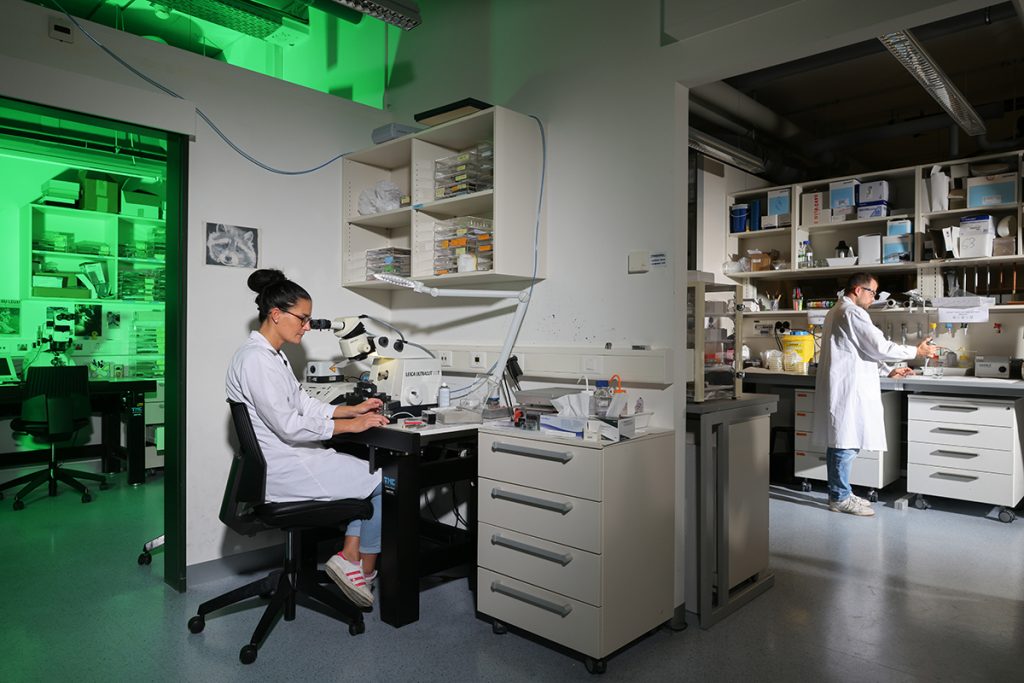 Research and Innovation ‒ Sustainability ‐ EPFL