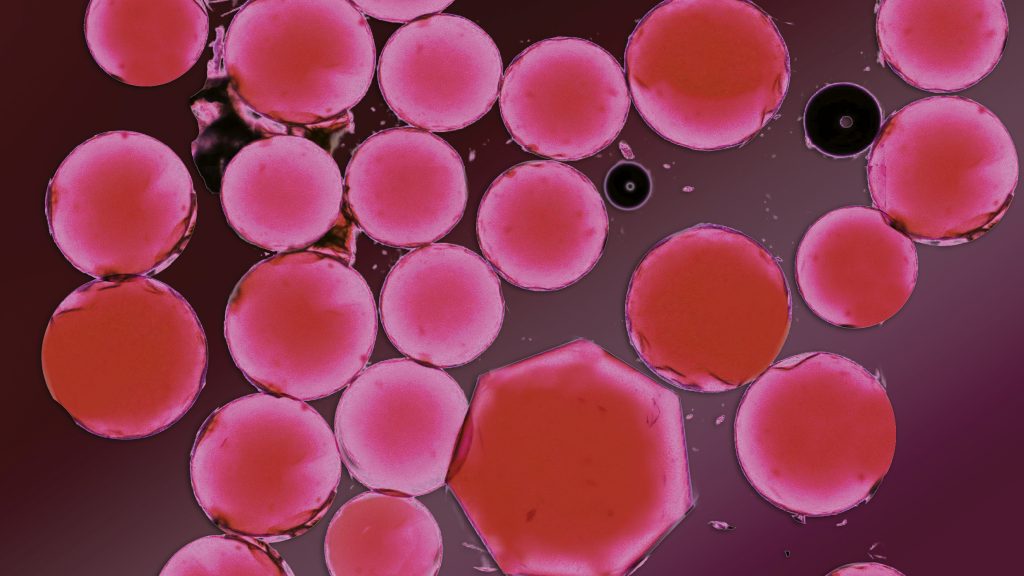 Programmes Master ‒ Master ‐ EPFL