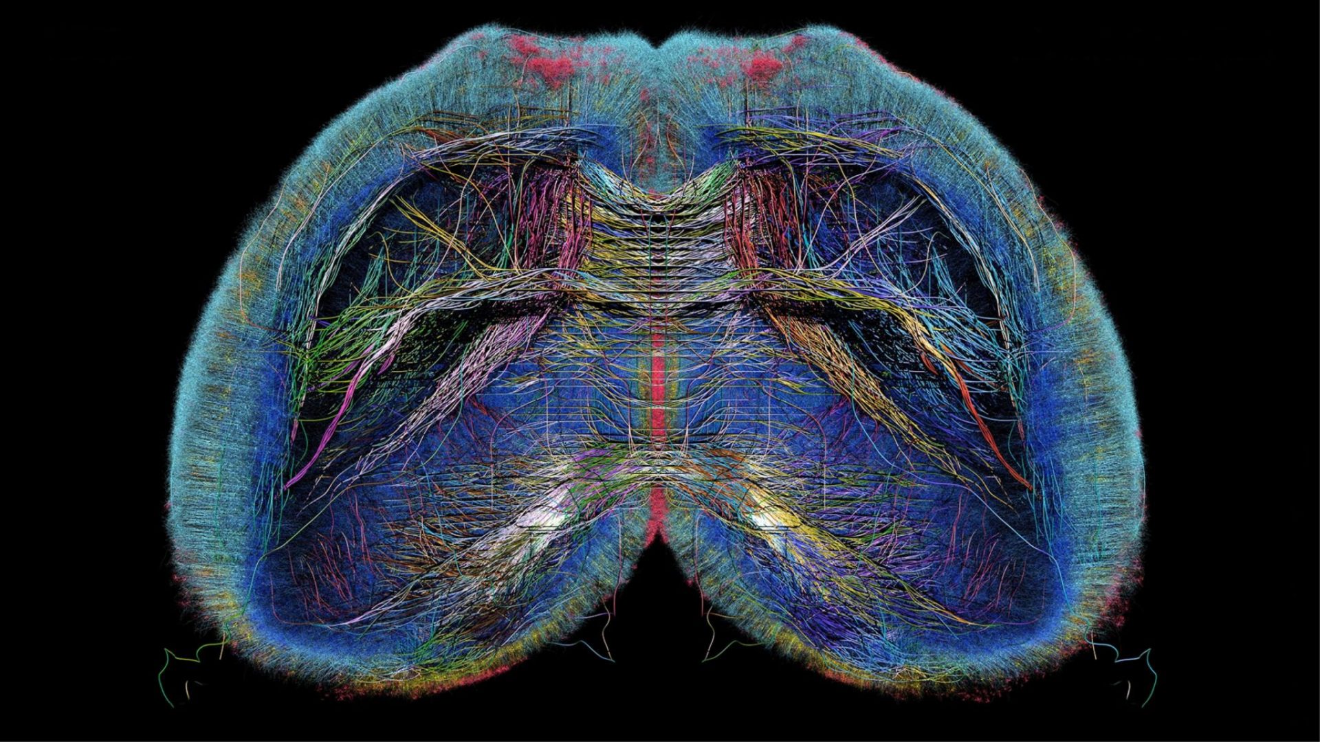 Neuro-X ‒ Master ‐ EPFL