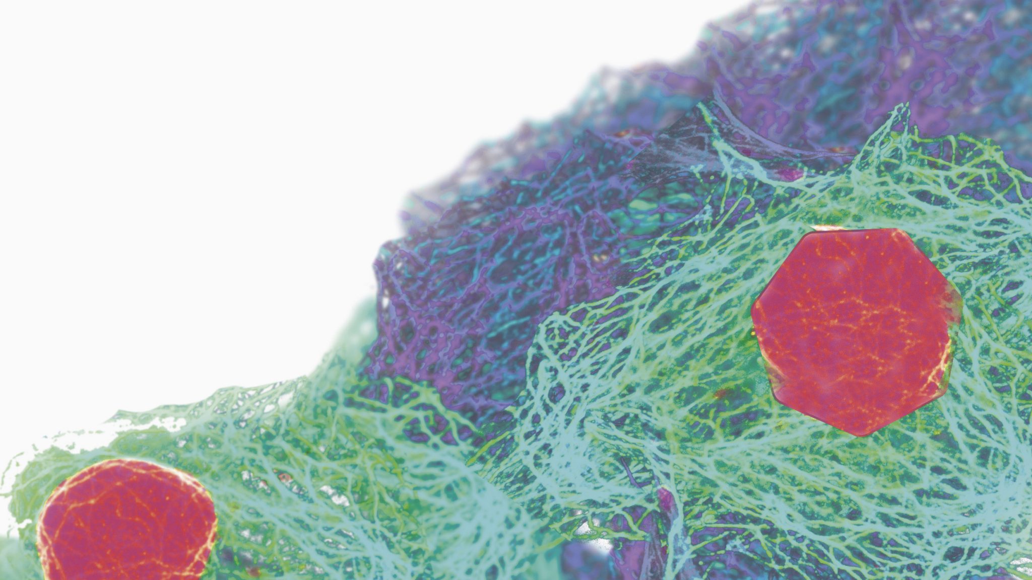 Molecular life sciences ‐ EPFL