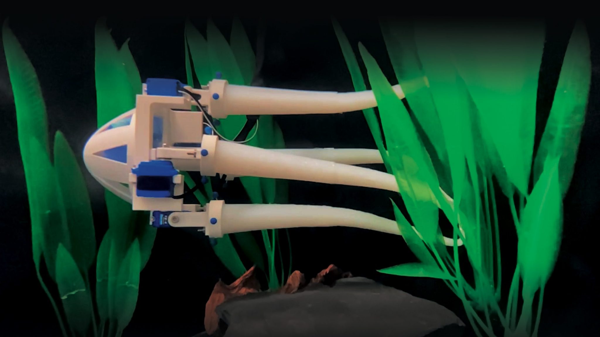 Fellows from 1st call ‒ Doctorate ‐ EPFL