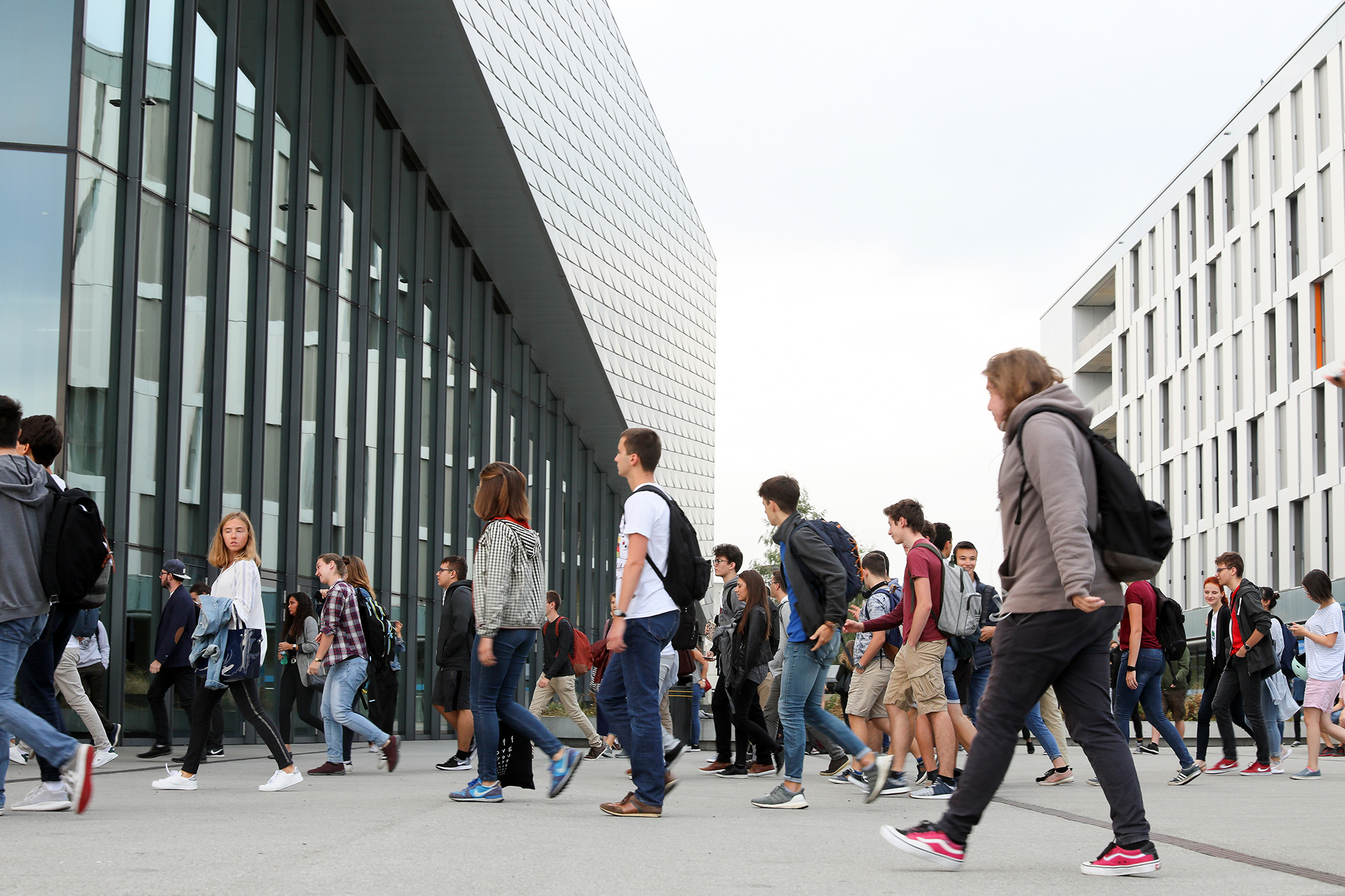 Nouvelles et nouveaux étudiant·es Bachelor ‒ Gestion des études ‐ EPFL