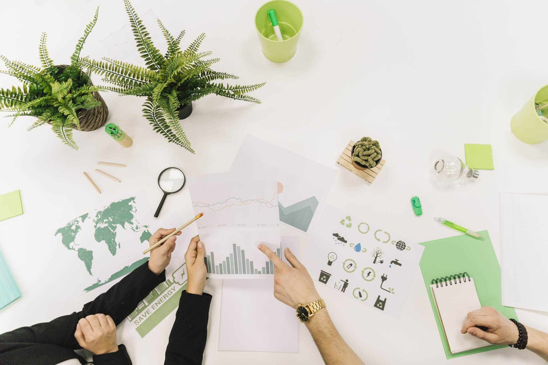 Sustainable Internships ‒ Study management ‐ EPFL