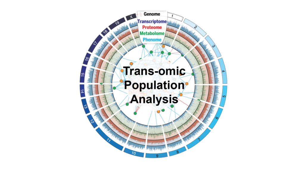 Laboratory of Integrative Systems Physiology ‐ EPFL