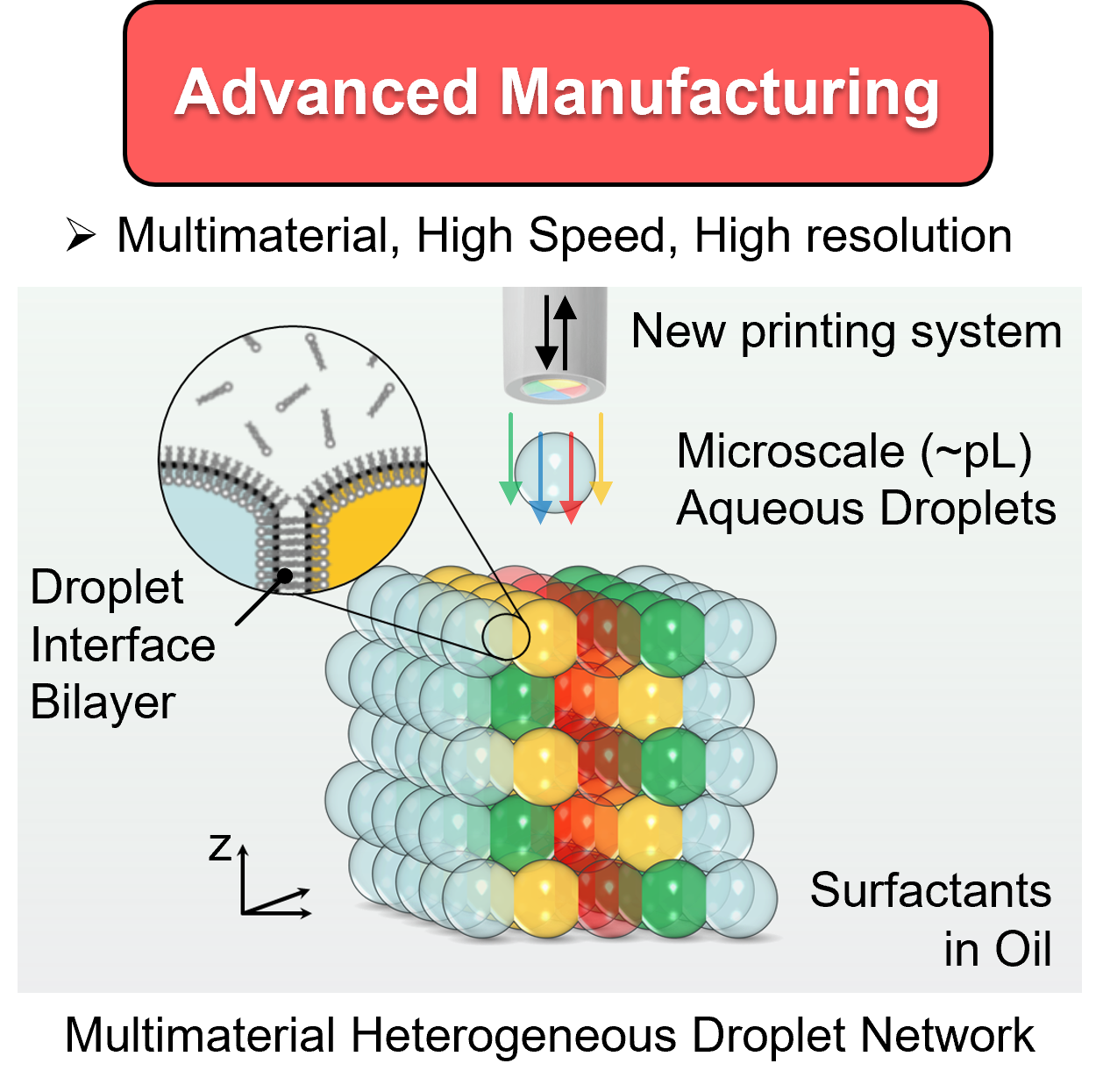 Advanced Manufacturing ‒ BION ‐ EPFL