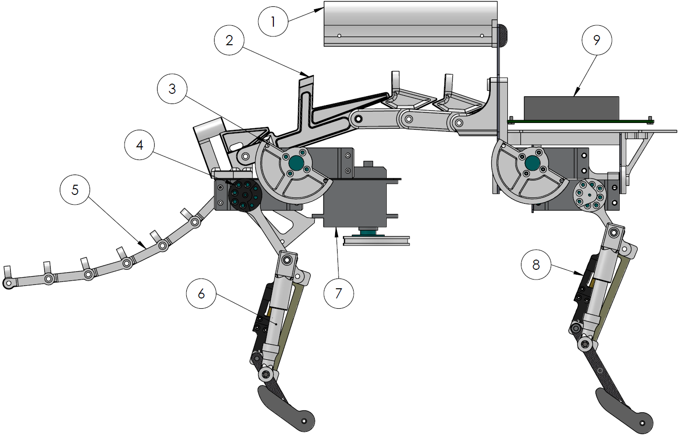lynx ‒ BioRob ‐ EPFL