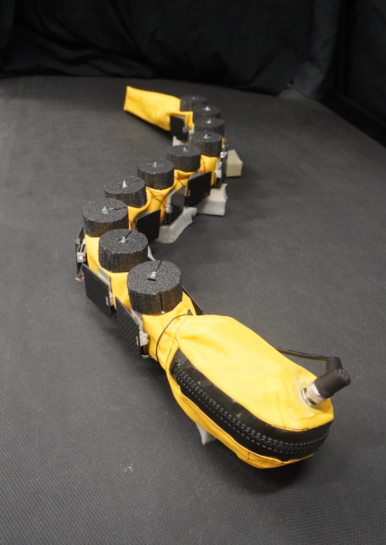 AgnathaX: An elongate undulatory robot that can sense the forces from ...