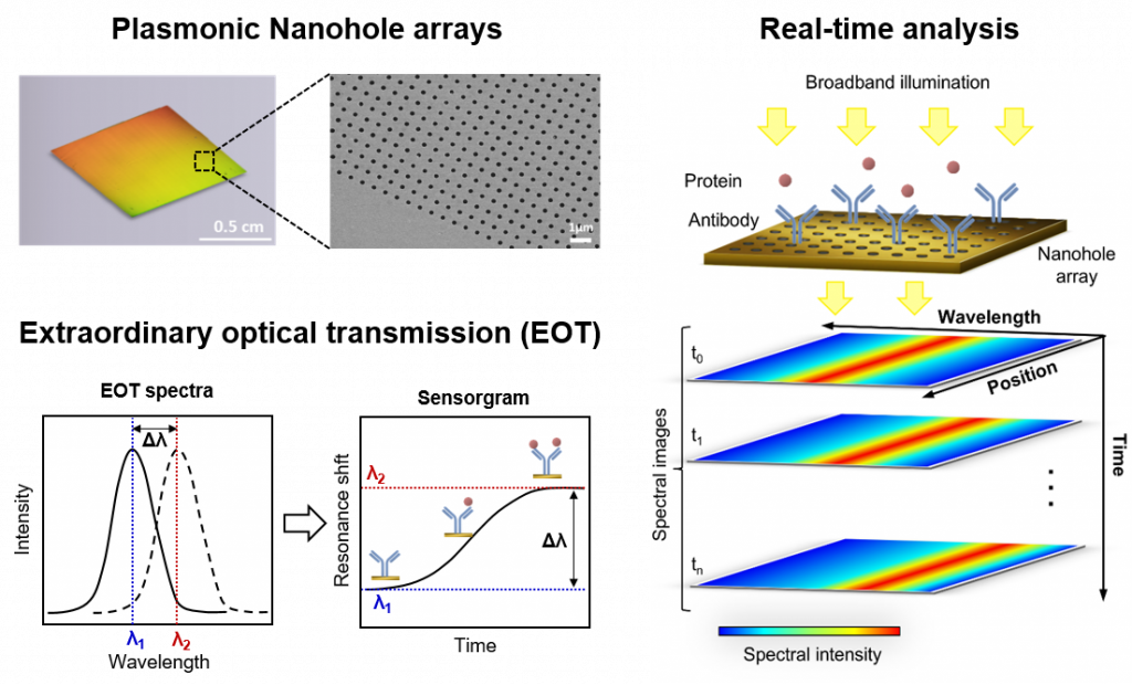 Label-free NanoBiosensor for real-time biochemical analyses ‒ BIOS ‐ EPFL