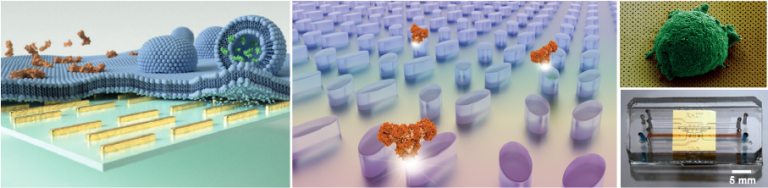 Research ‒ BIOS ‐ EPFL