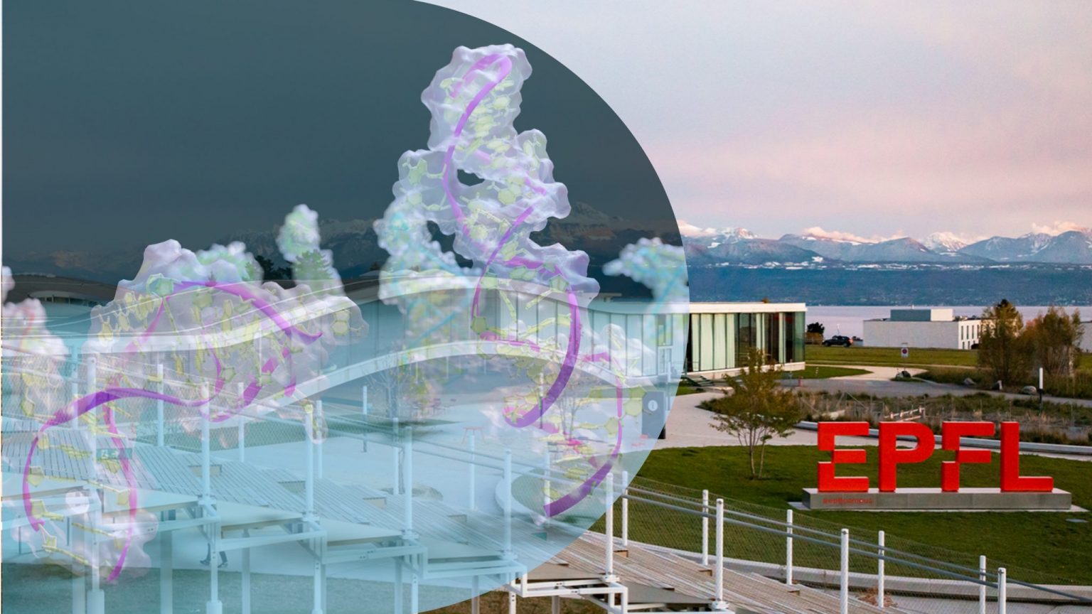 Laboratory of Chemical Nanotechnology ‐ EPFL