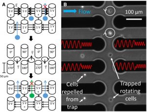Single-cell manipulation and analysis ‒ CLSE ‐ EPFL