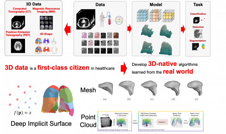3D Medical Image Analysis beyond Voxels ‒ CVLAB ‐ EPFL