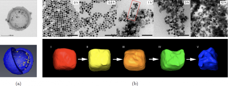 Computer Tomography from Few Images ‒ CVLAB ‐ EPFL