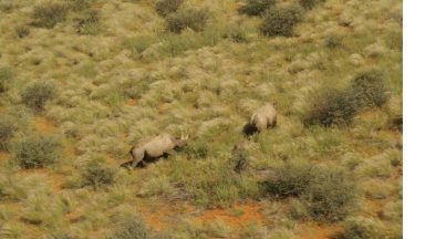 Projects ‒ ECEO ‐ EPFL