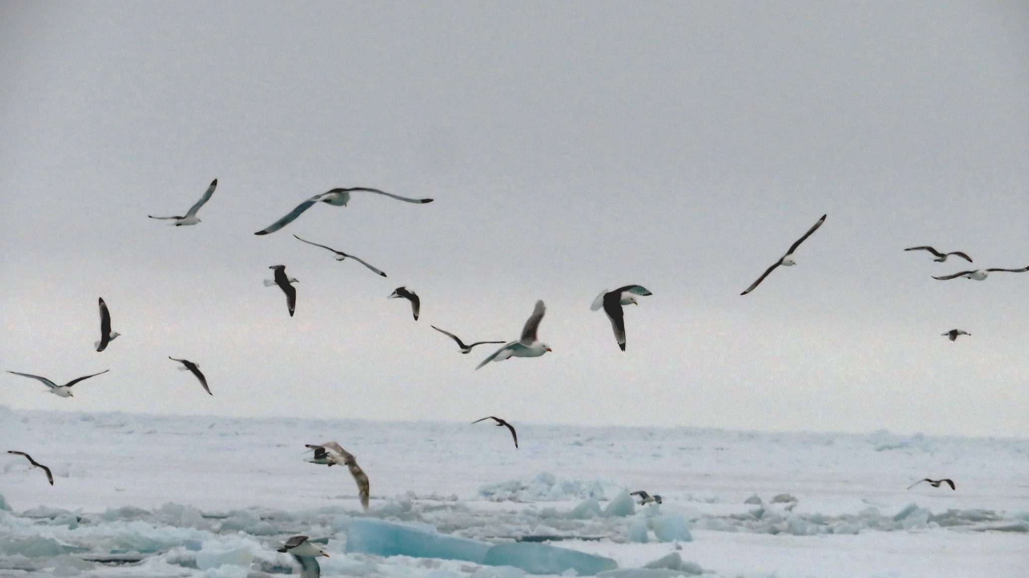 Déjà vu? Not quite. ‒ EERL ‐ EPFL