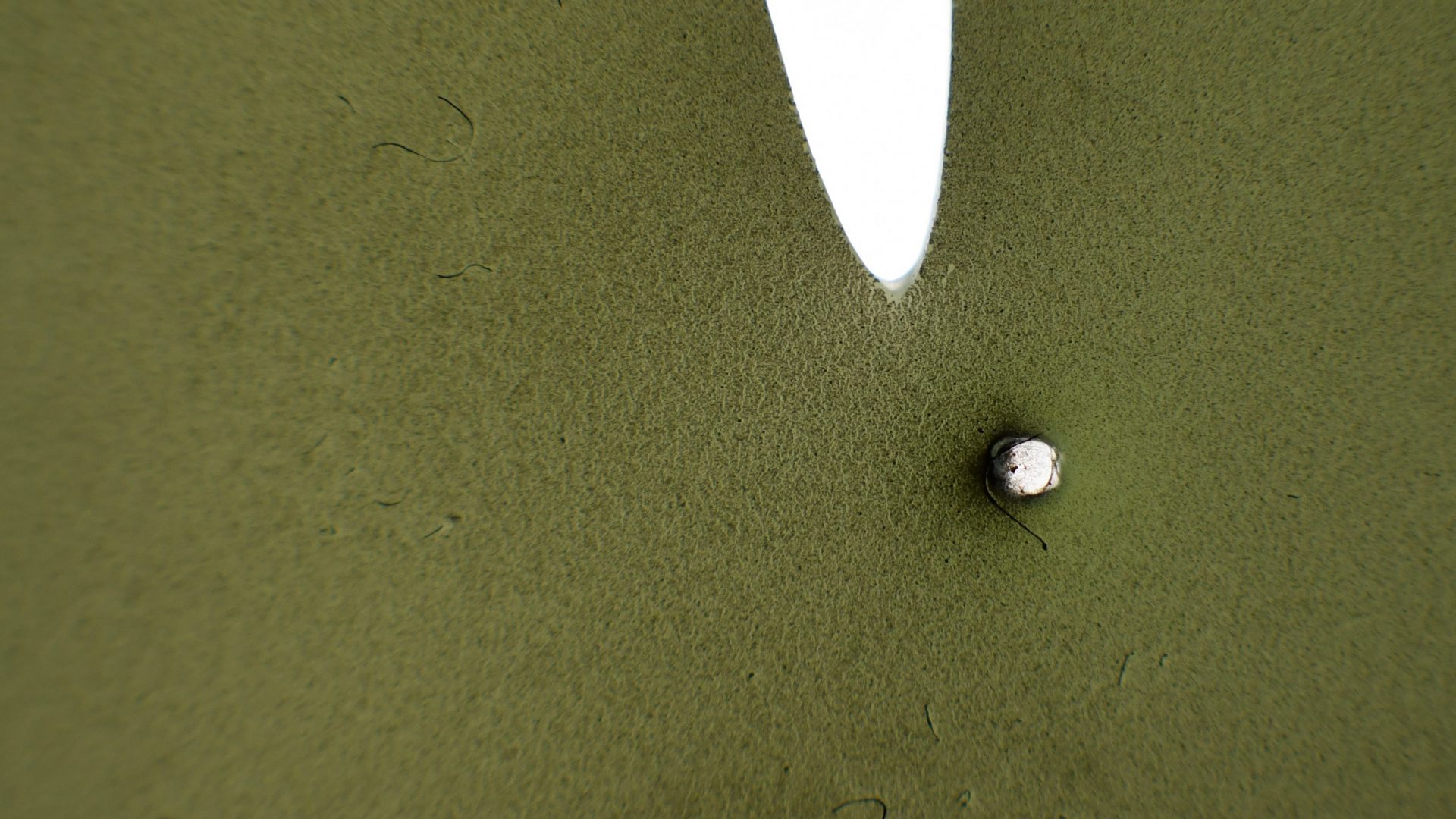 Engineering Mechanics of Soft Interfaces ‐ EPFL