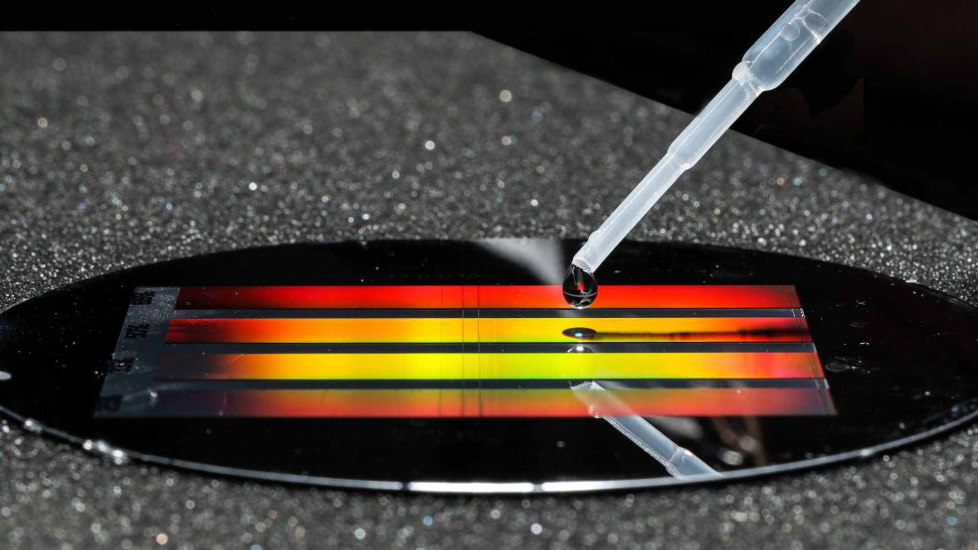 Engineering Mechanics of Soft Interfaces ‐ EPFL