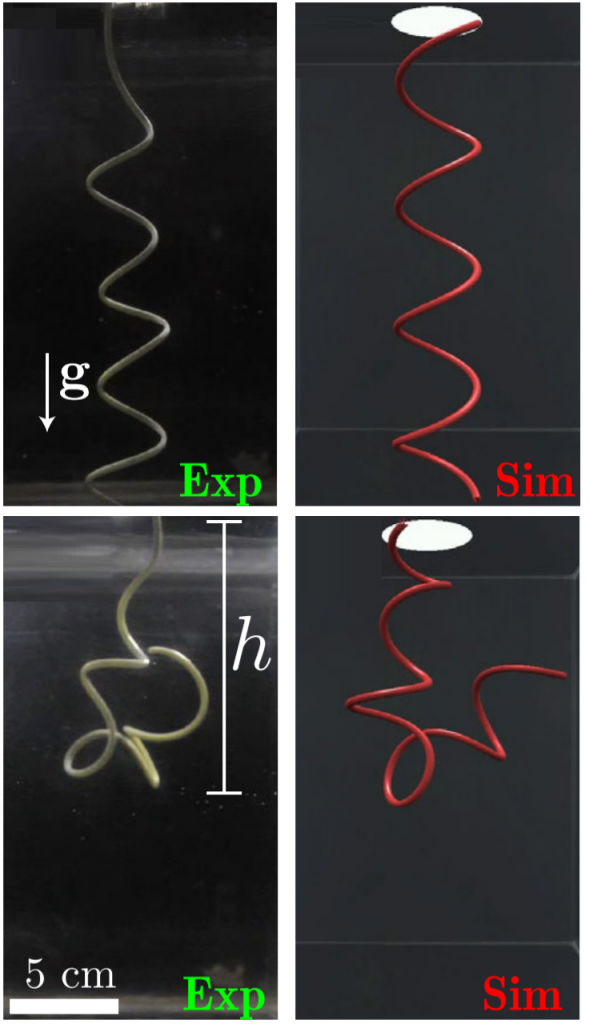 Thin Rods ‒ FLEXLAB ‐ EPFL