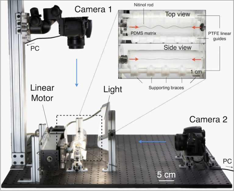 Thin Rods ‒ FLEXLAB ‐ EPFL