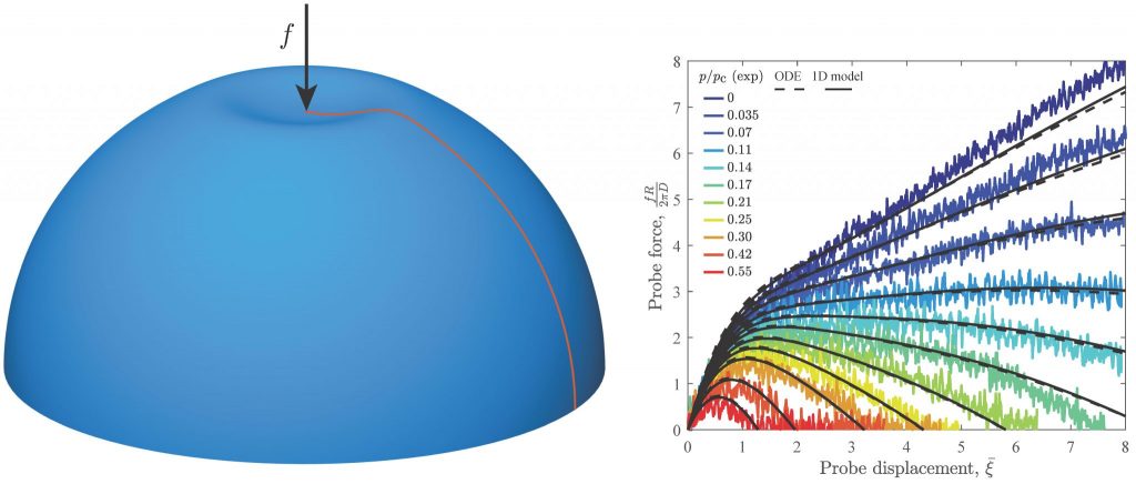 Shells and Plates ‒ FLEXLAB ‐ EPFL
