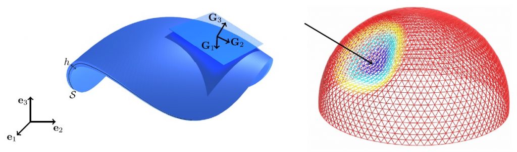 Shells and Plates ‒ FLEXLAB ‐ EPFL