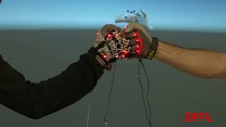 Demo / Dataset / Code ‒ IIG ‐ EPFL