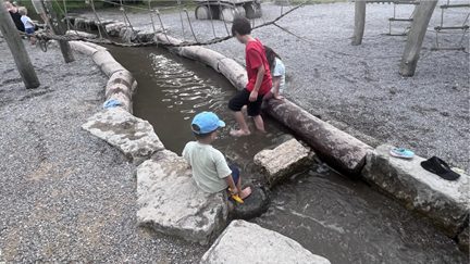 Reassembling Waterscapes: Cultural and Ecological Potentials of Urban ...