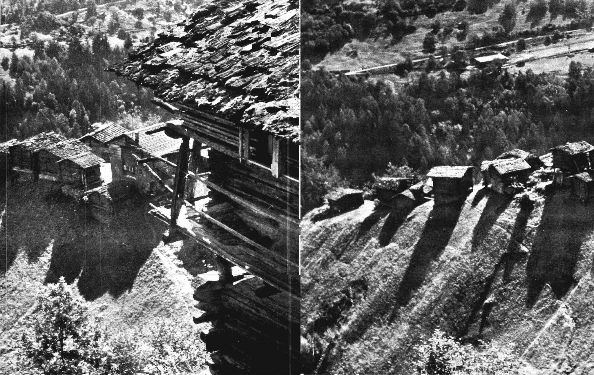 In Quest of Lost Meaning ‒ LAPIS ‐ EPFL