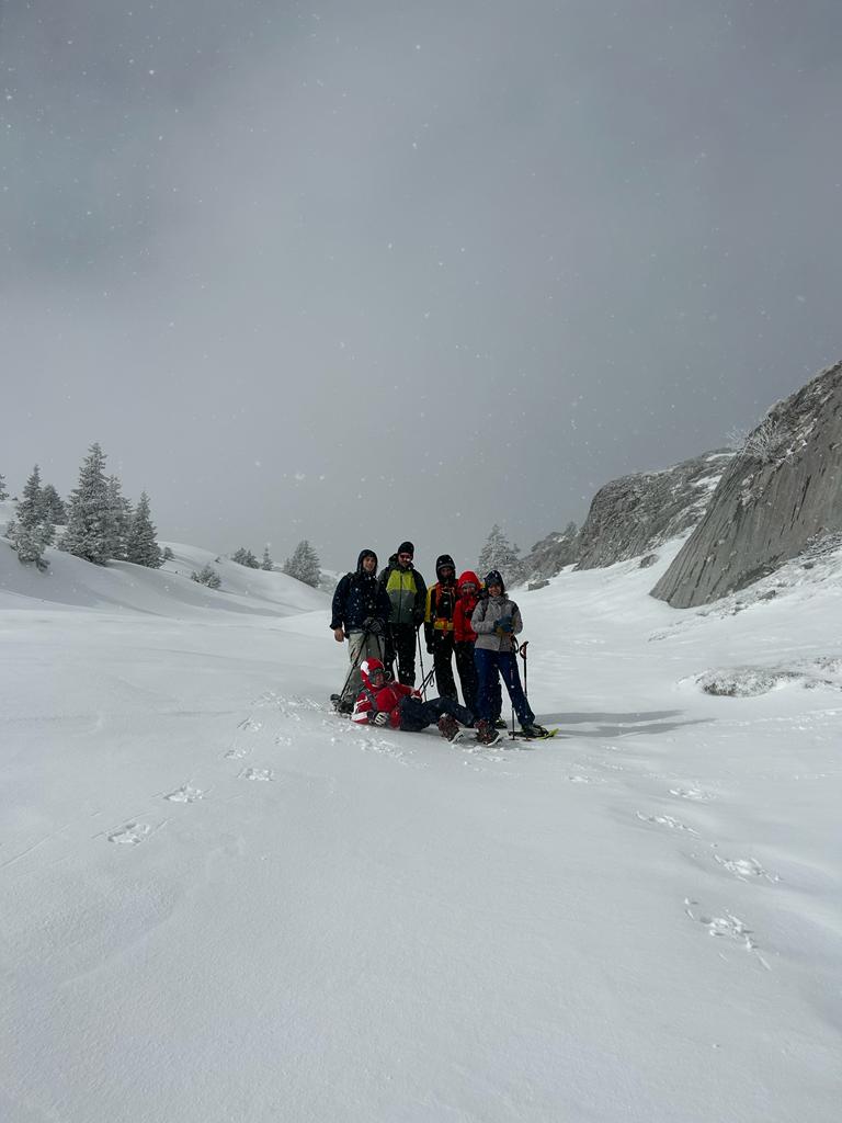Snowshoeing ‒ LASA ‐ EPFL