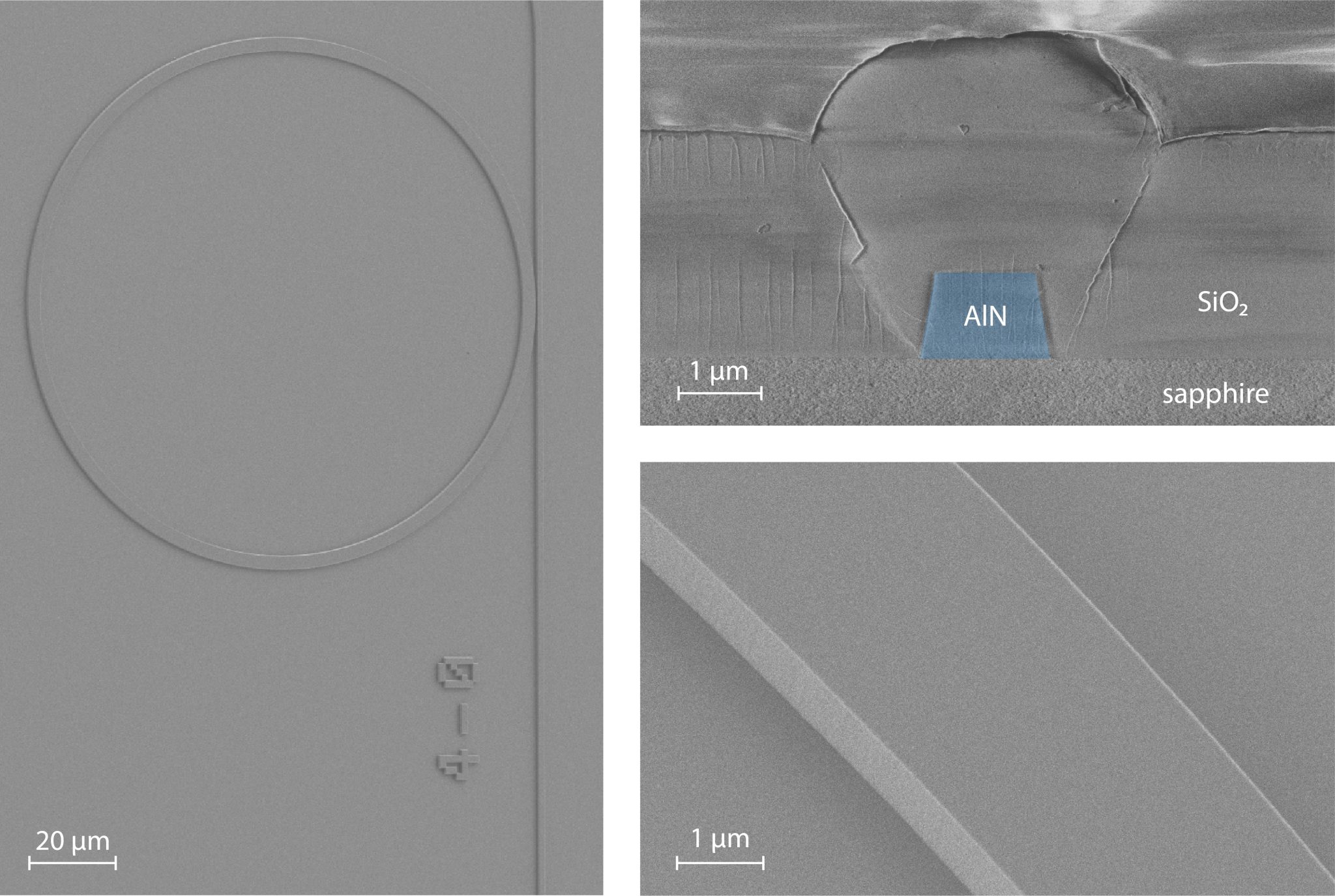 AIN-on-sapphire photonic integrated circuits ‒ LASPE ‐ EPFL