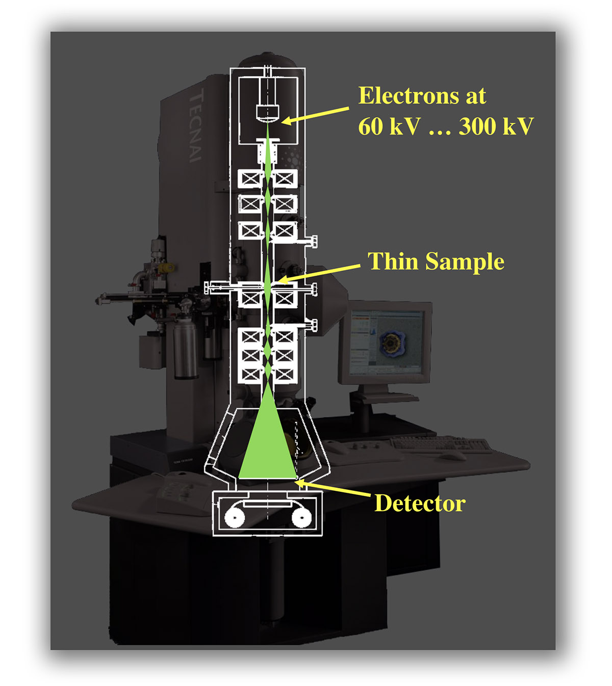 Electron Microscopy method development ‒ LBEM ‐ EPFL