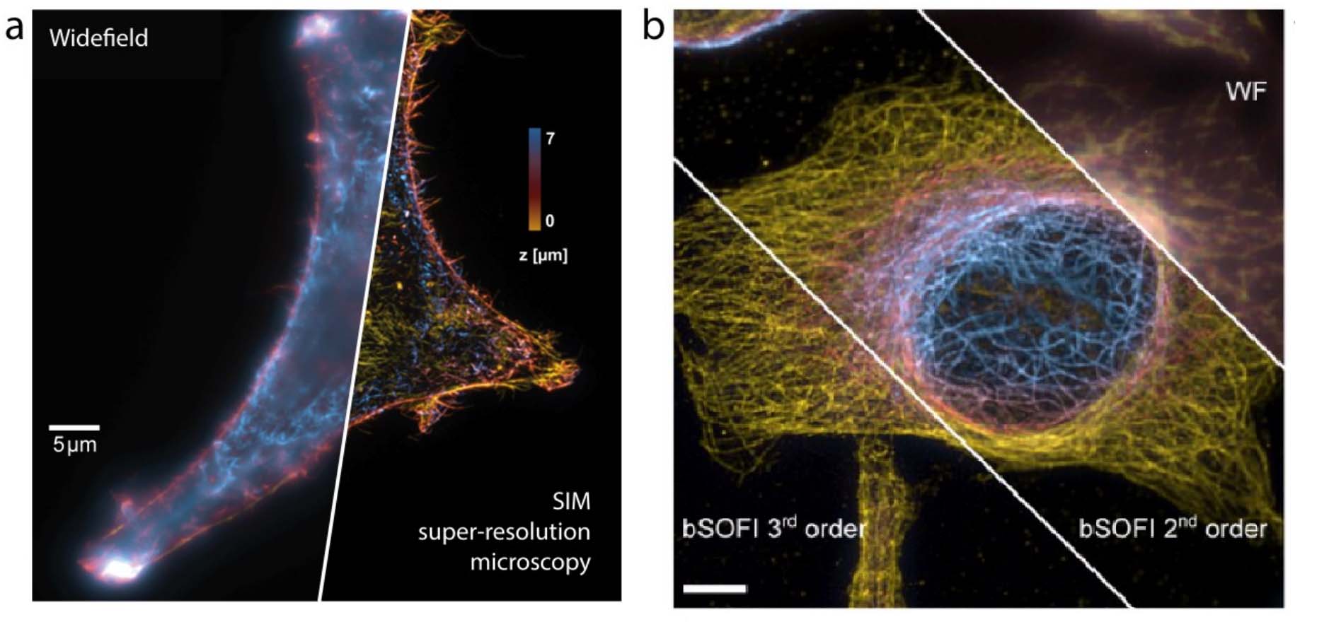 Master projects – LBEN