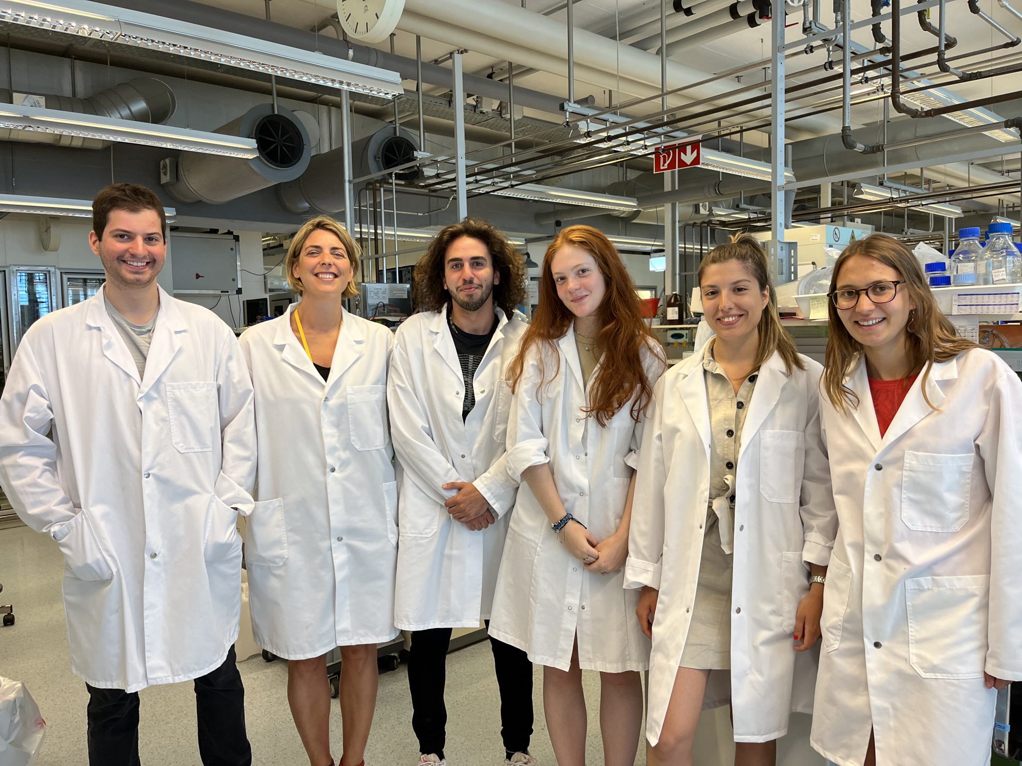 Experimental lab ‒ UPDALPE ‐ EPFL