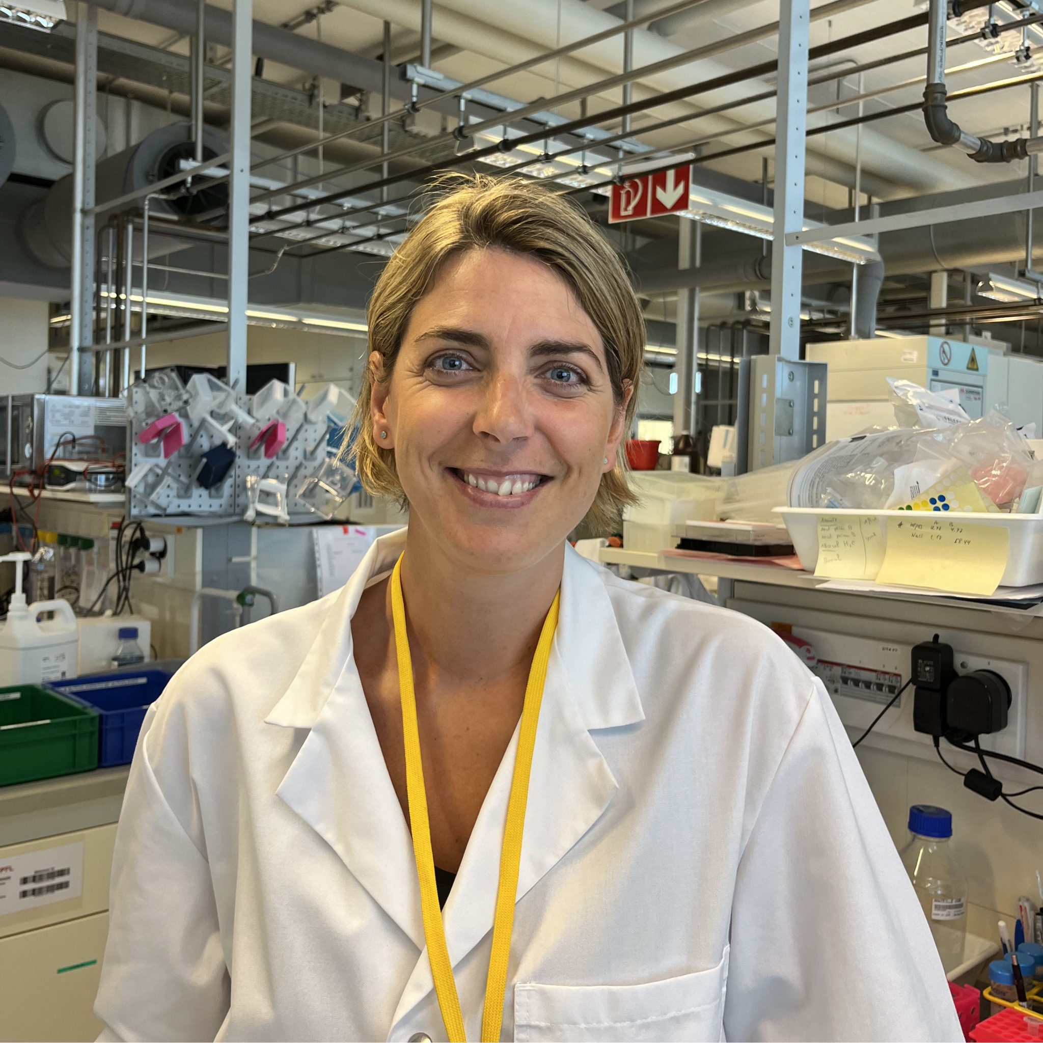 Experimental lab ‒ UPDALPE ‐ EPFL