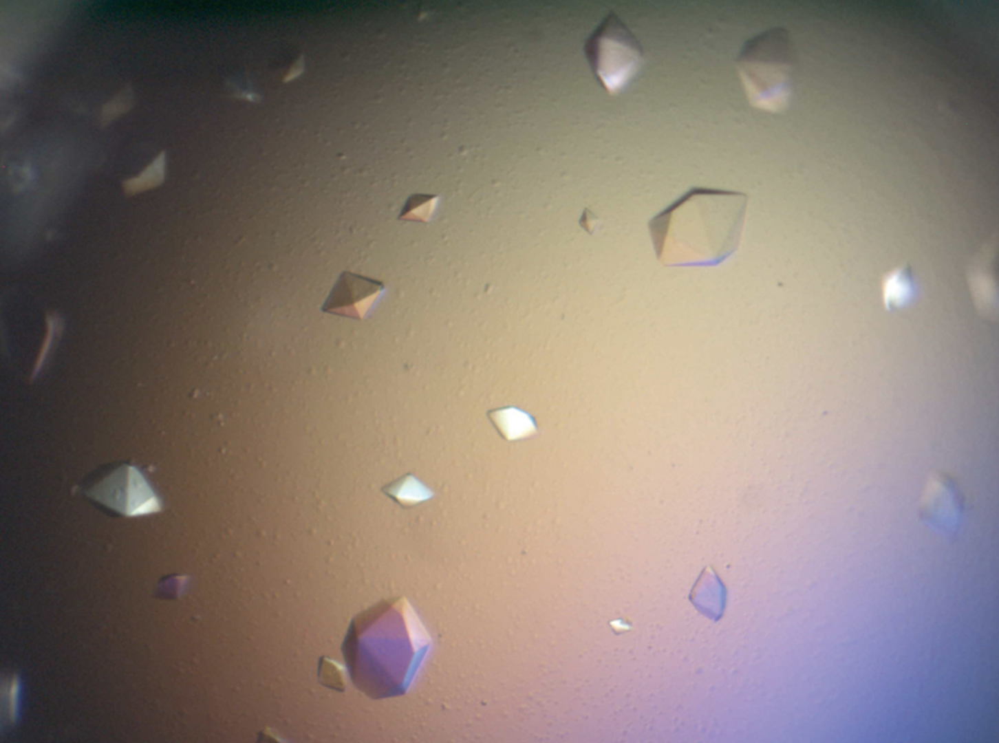 Experimental lab ‒ UPDALPE ‐ EPFL