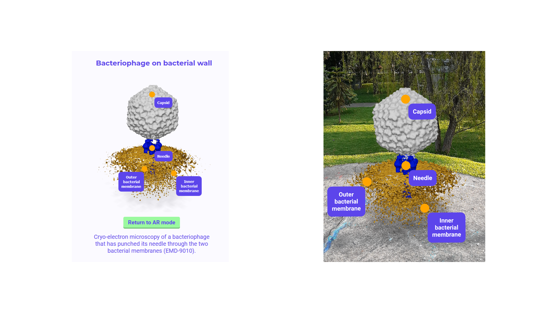 Resources for learning and teaching chemistry and structural biology ‒ UPDALPE ‐ EPFL