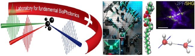 Laboratory for fundamental BioPhotonics ‐ EPFL