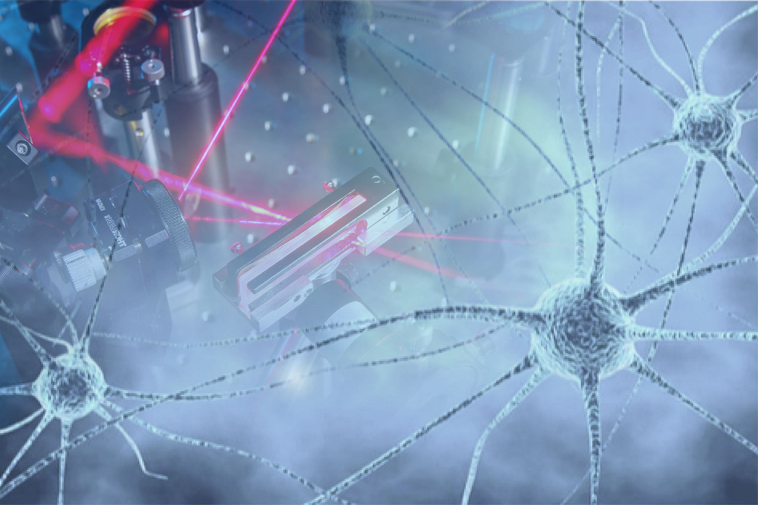 Nonlinear Microscopy ‒ LBP ‐ EPFL