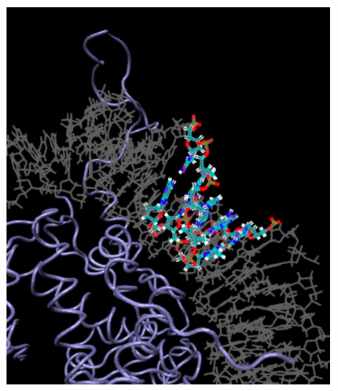 Research ‒ LCBC ‐ EPFL