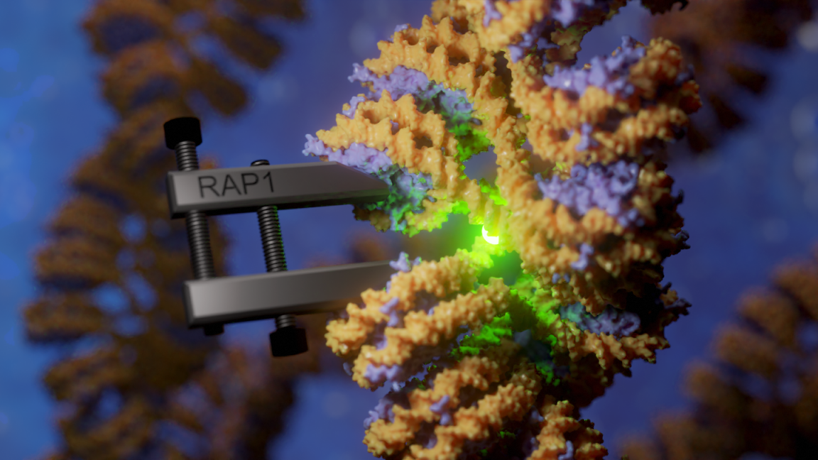 Laboratory of Biophysical Chemistry of Macromolecules ‐ EPFL