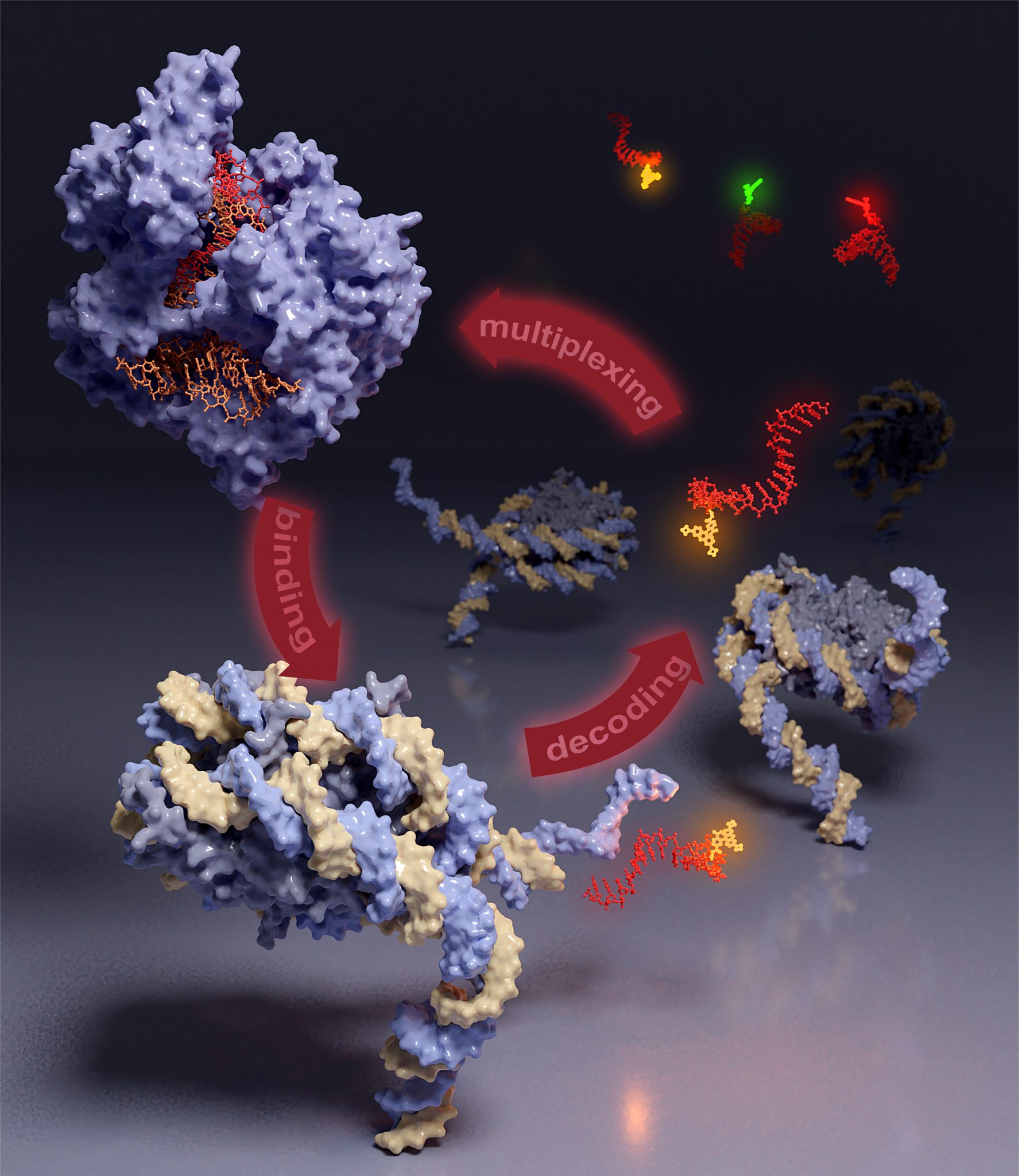 Research ‒ LCBM ‐ EPFL