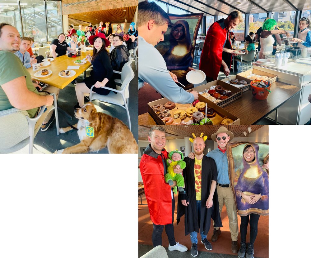 Socials ‒ LEM ‐ EPFL