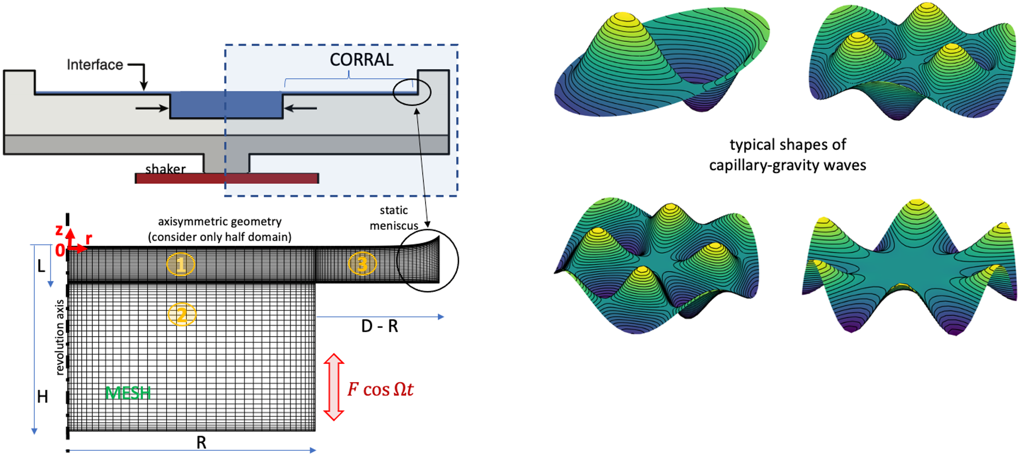 CAPILLARY-GRAVITY WAVES: EFFECT OF A CIRCULAR CORRAL ‒ LFMI ‐ EPFL