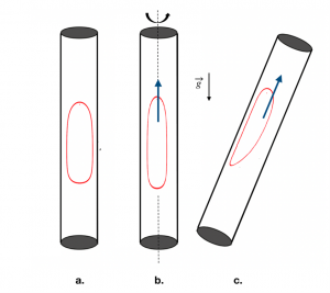 Releasing a buoyant bubble stuck in a capillary tube ‒ LFMI ‐ EPFL