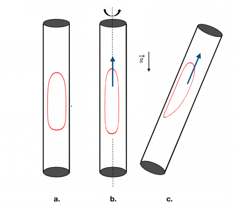 Releasing a buoyant bubble stuck in a capillary tube ‒ LFMI ‐ EPFL