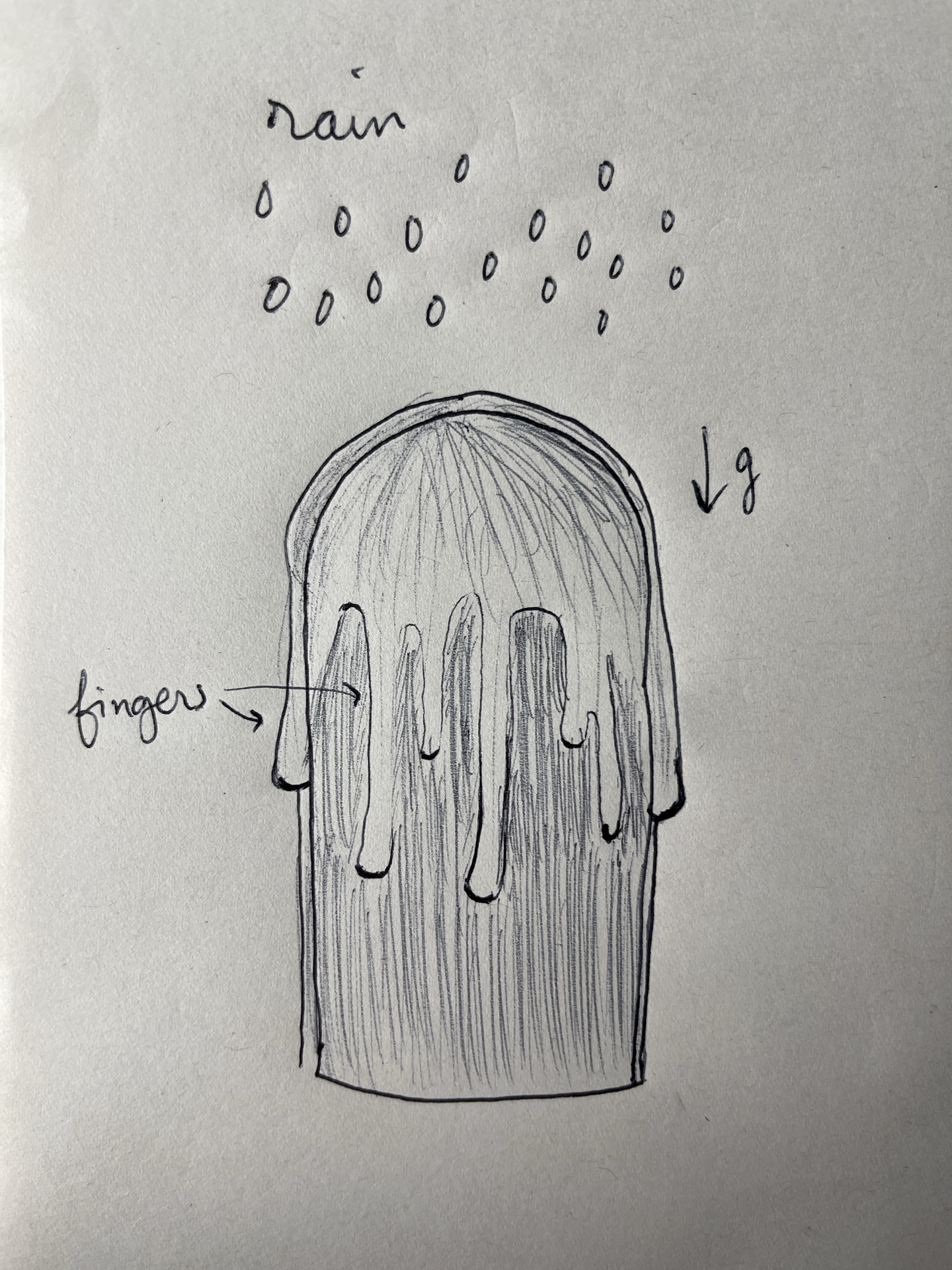 Tears of rain – fingering instability without a contact line ‒ LFMI ‐ EPFL