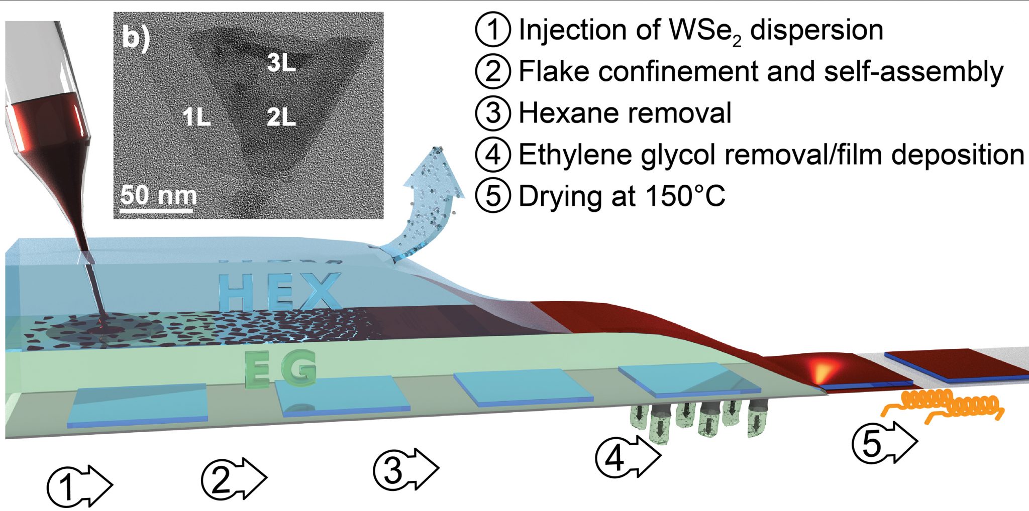 2D Semiconductors ‒ LIMNO ‐ EPFL