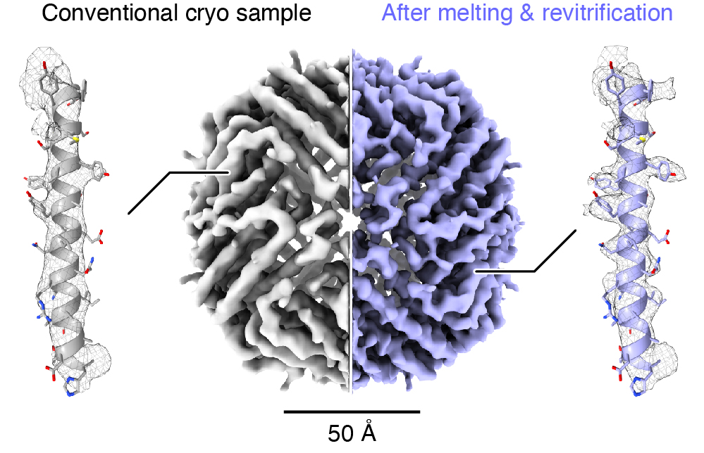 Publications ‒ LND ‐ EPFL
