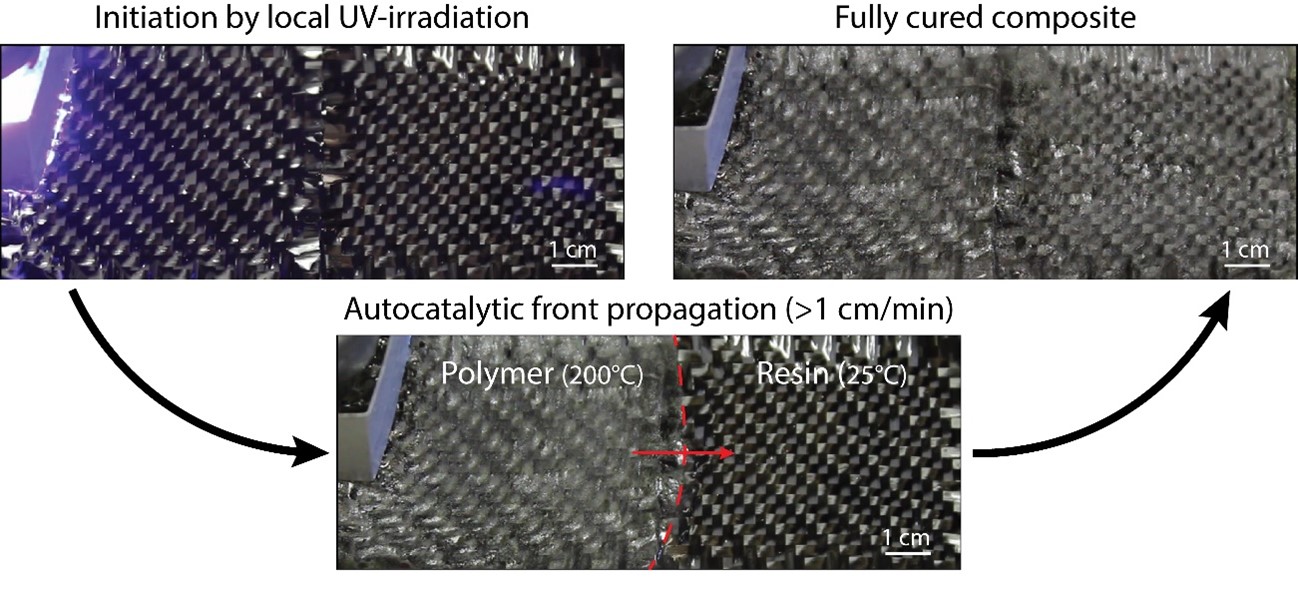 Fundamentals of polymers and composite materials processing ‒ LPAC ‐ EPFL