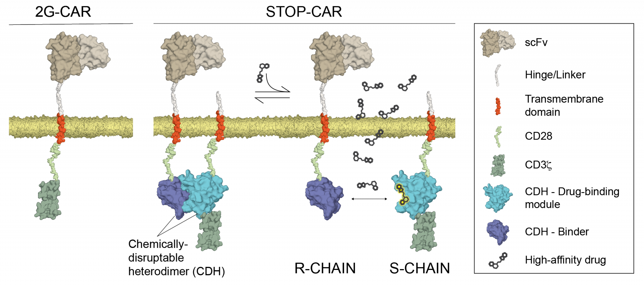 Computational design of components for synthetic biology ‒ LPDI ‐ EPFL